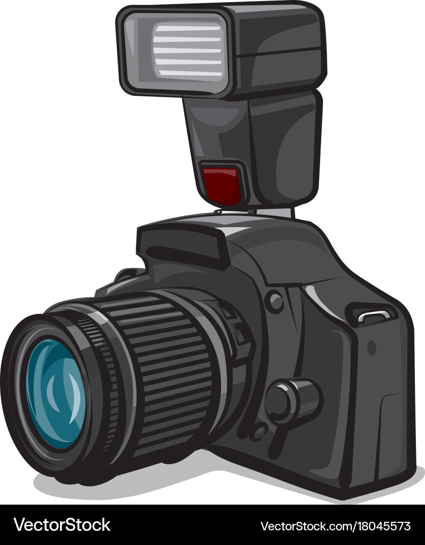 Professional Camera with Flash Royalty Free Vector Image