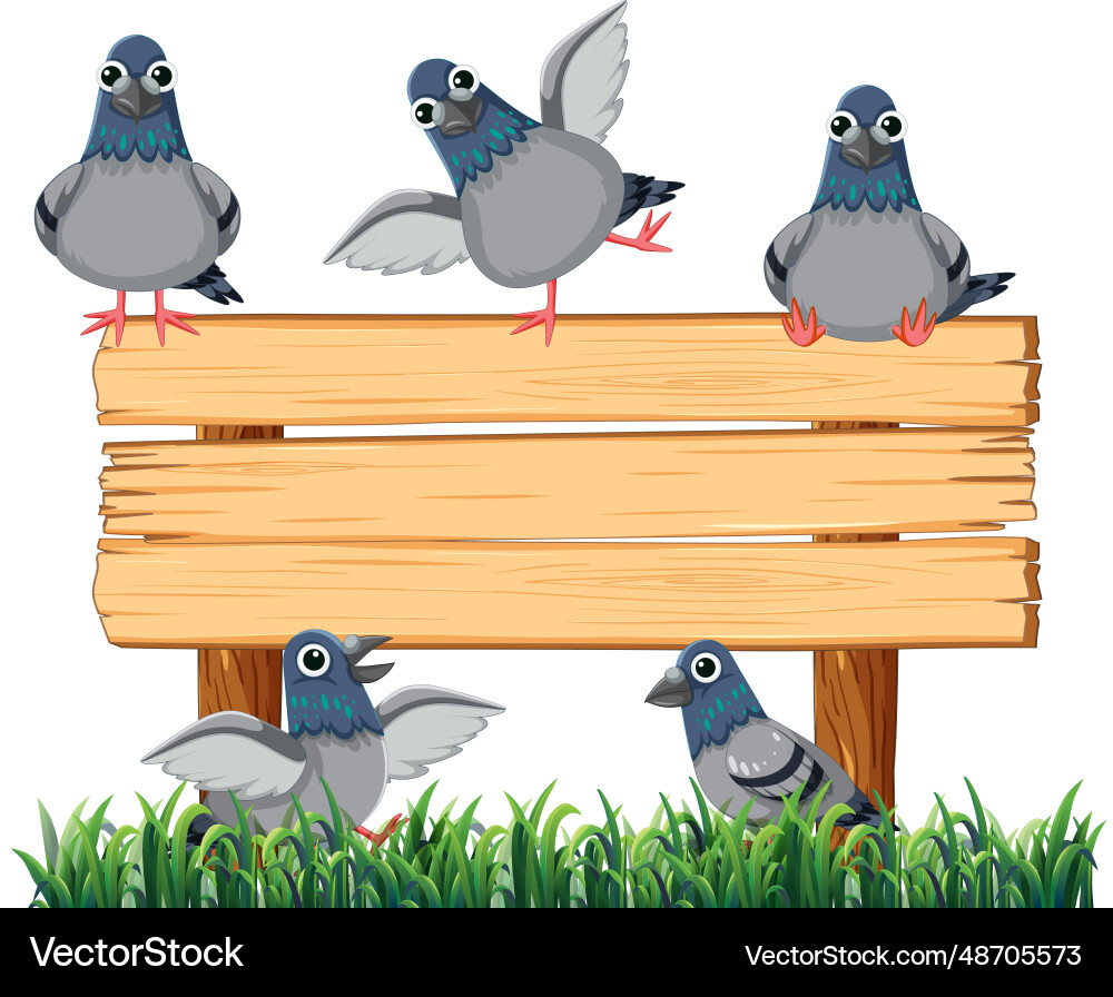 Tauben stehend bei signboard Rahmen Banner Vektorbild