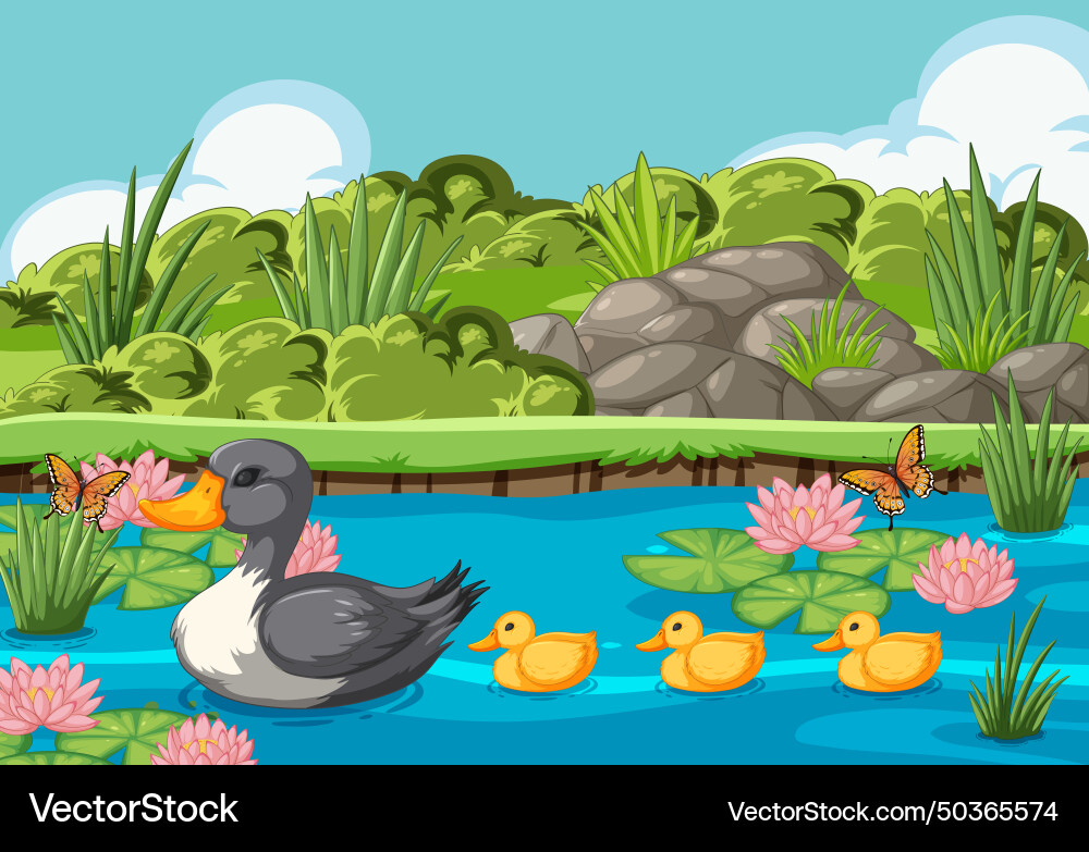 Ducks in a serene pond setting Royalty Free Vector Image