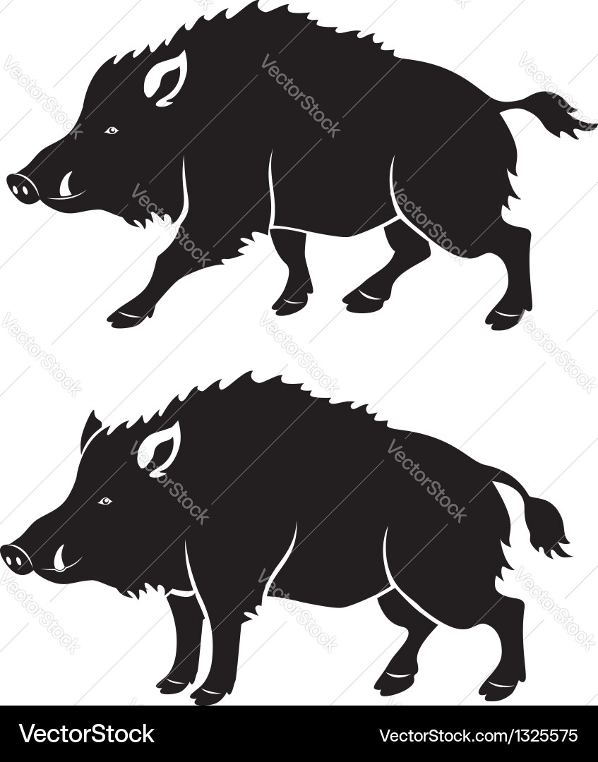 Abstract Pig Vector Images (over 8,300)