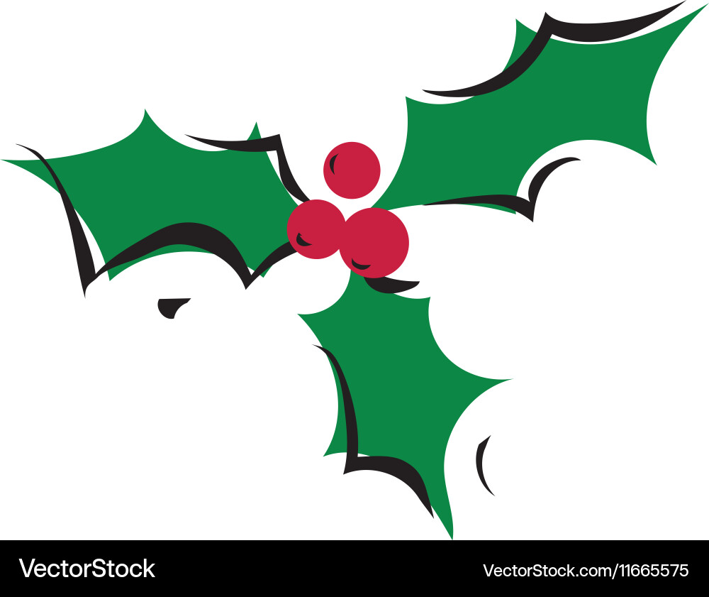 Christmas holly Royalty Free Vector Image - VectorStock