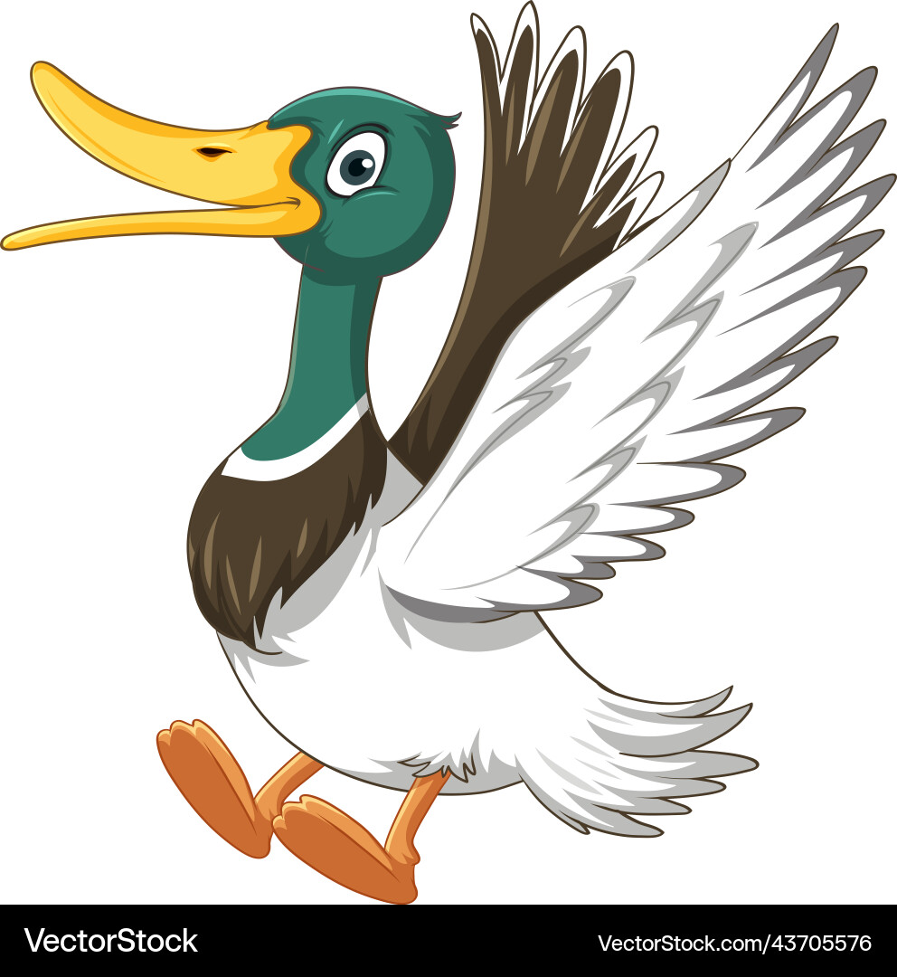 Happy mallard duck cartoon character Royalty Free Vector