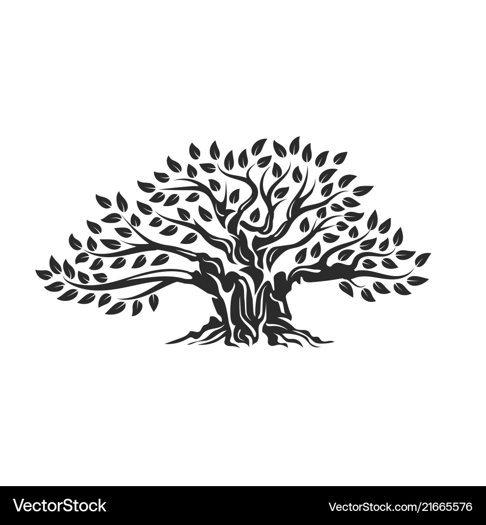 Olive Tree Logo - Natural & Healthy Royalty Free Vector