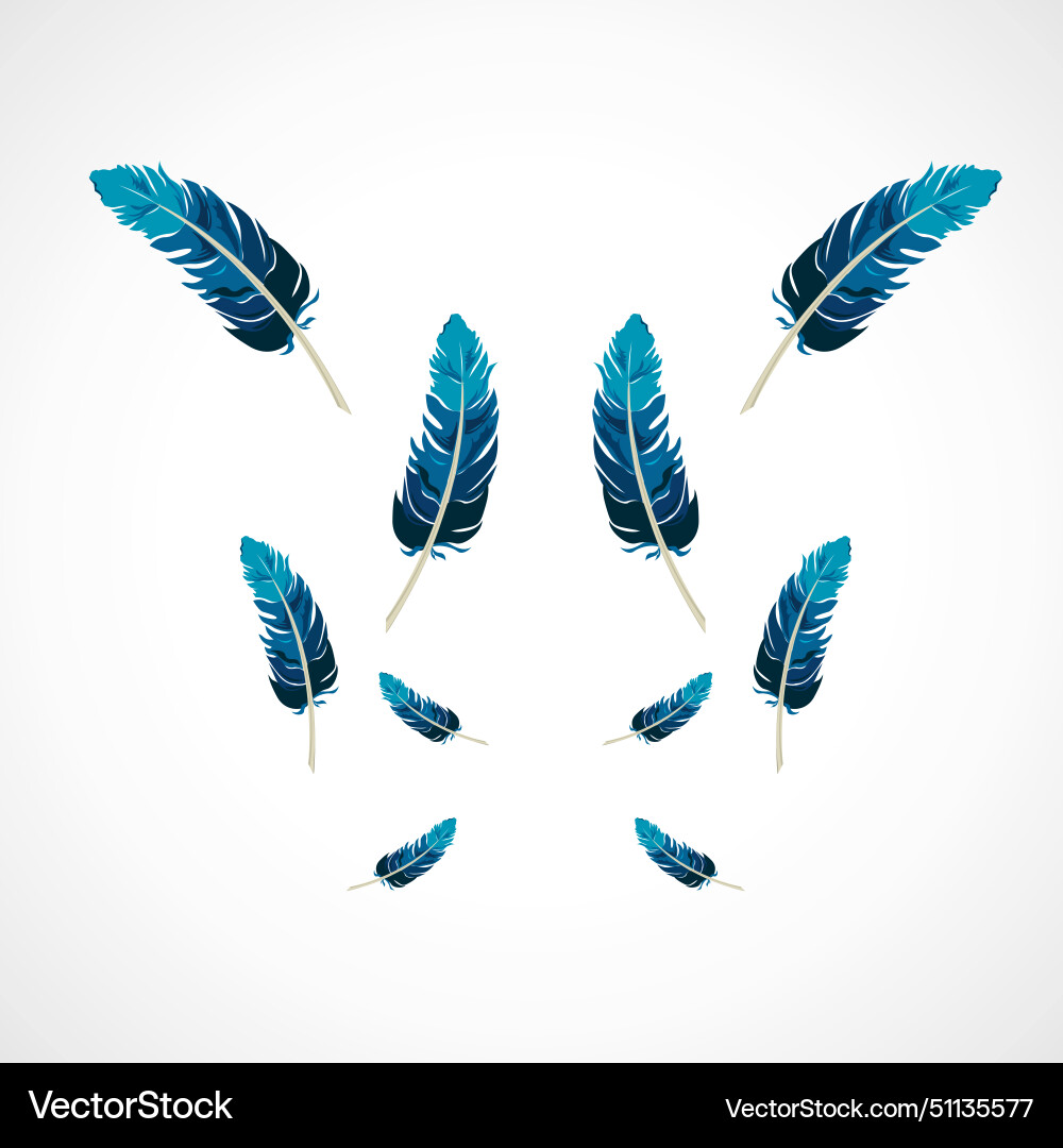 Feather Royalty Free Vector Image - VectorStock