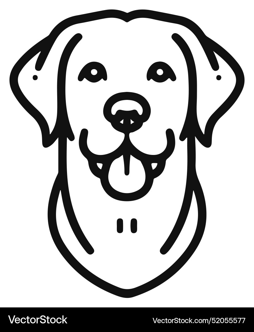 Labrador line art drawing Royalty Free Vector Image