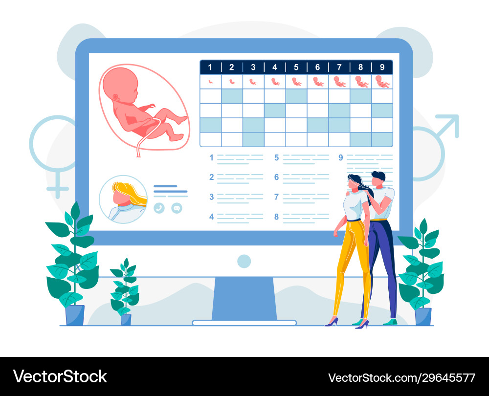 Prenatal child development calendar Royalty Free Vector
