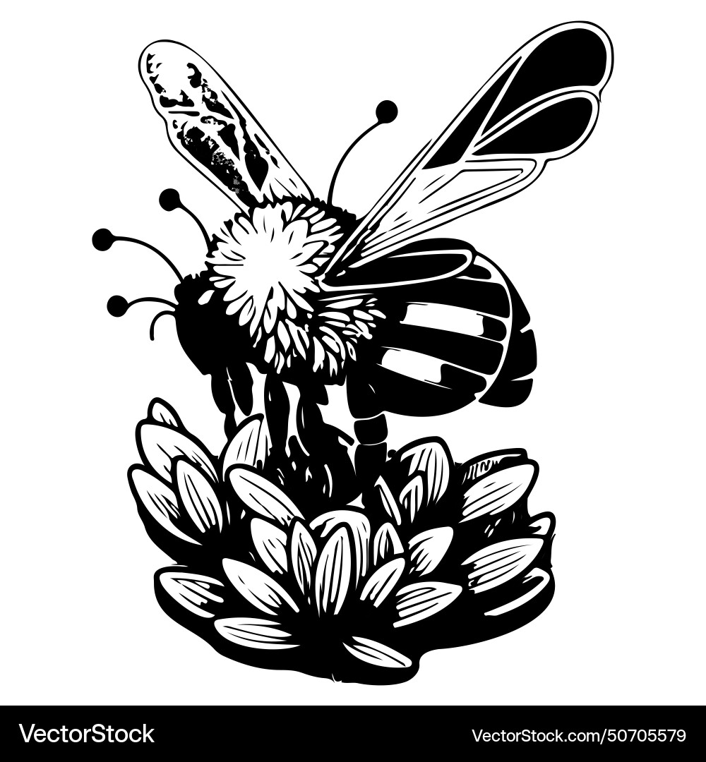Bee on flower spring sketch hand draw Royalty Free Vector
