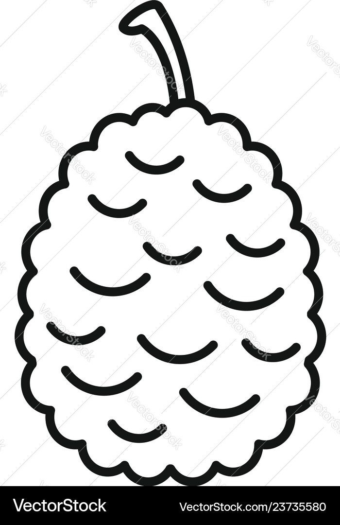 Lychees icon outline style Royalty Free Vector Image