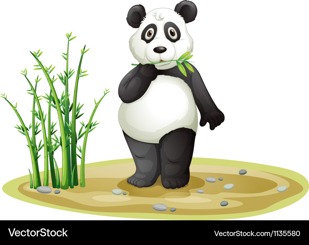 Panda Royalty Free Vector Image - VectorStock