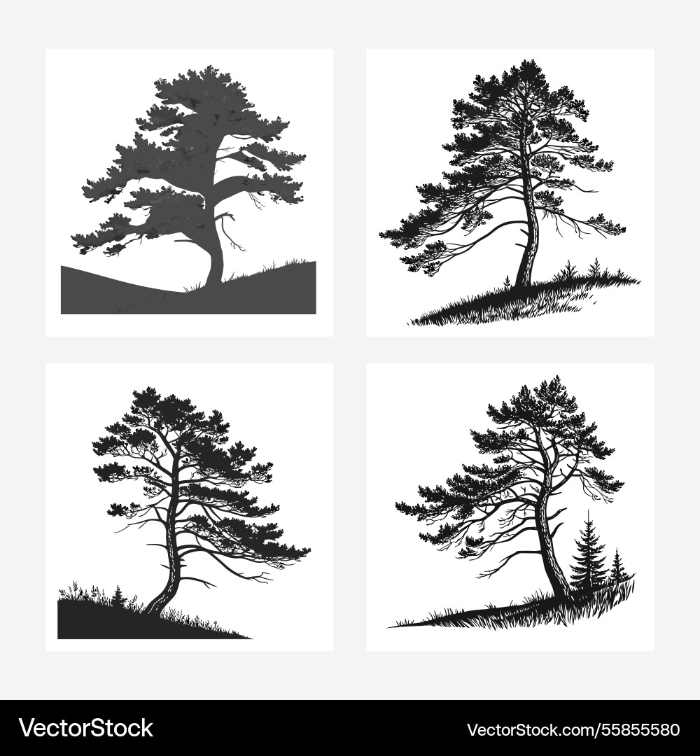 Square template Royalty Free Vector Image - VectorStock