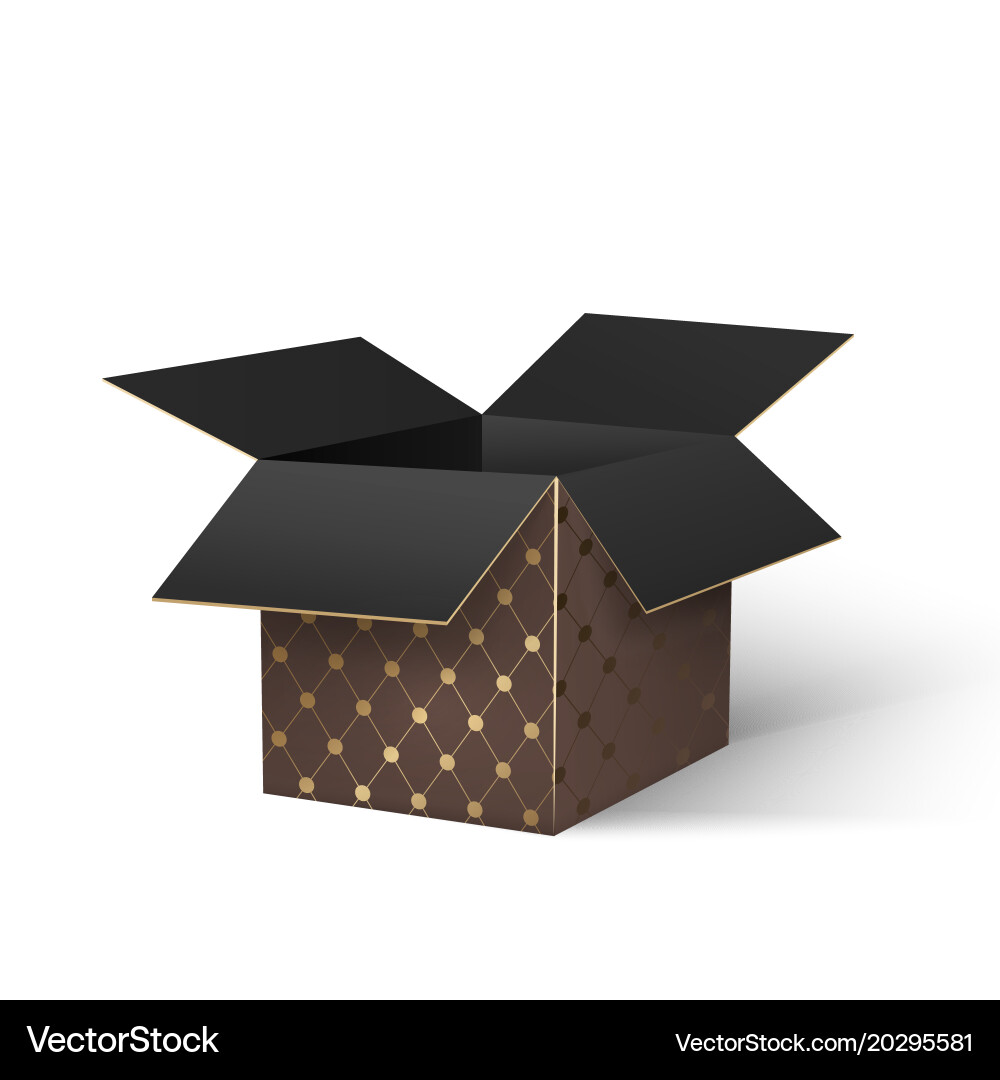 3d luxury open box empty brown packaging Vector Image