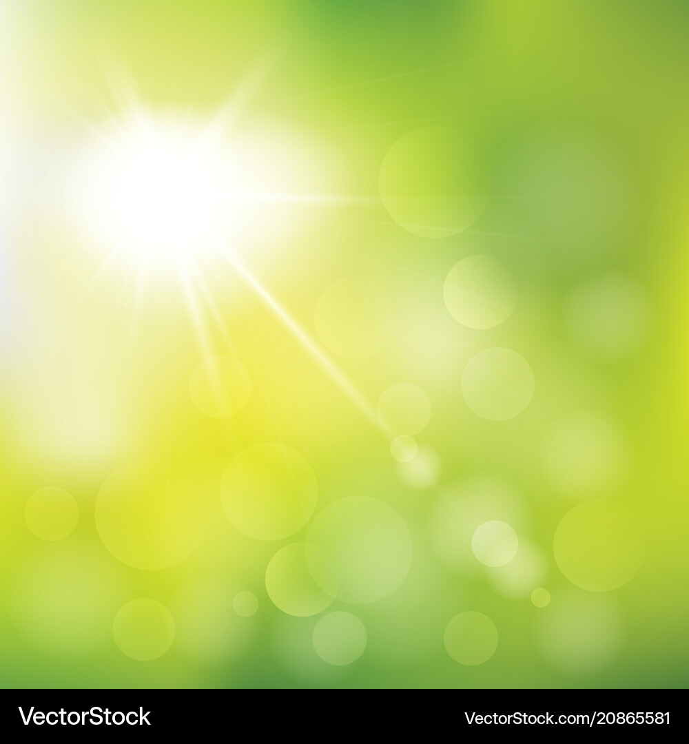 Abstract summer sunlight Royalty Free Vector Image