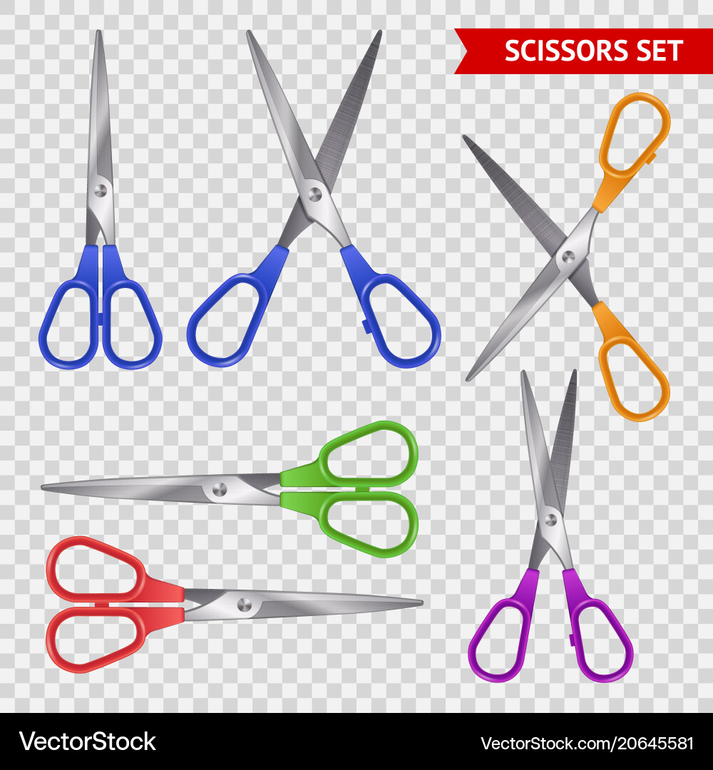 School kit scissors set Royalty Free Vector Image