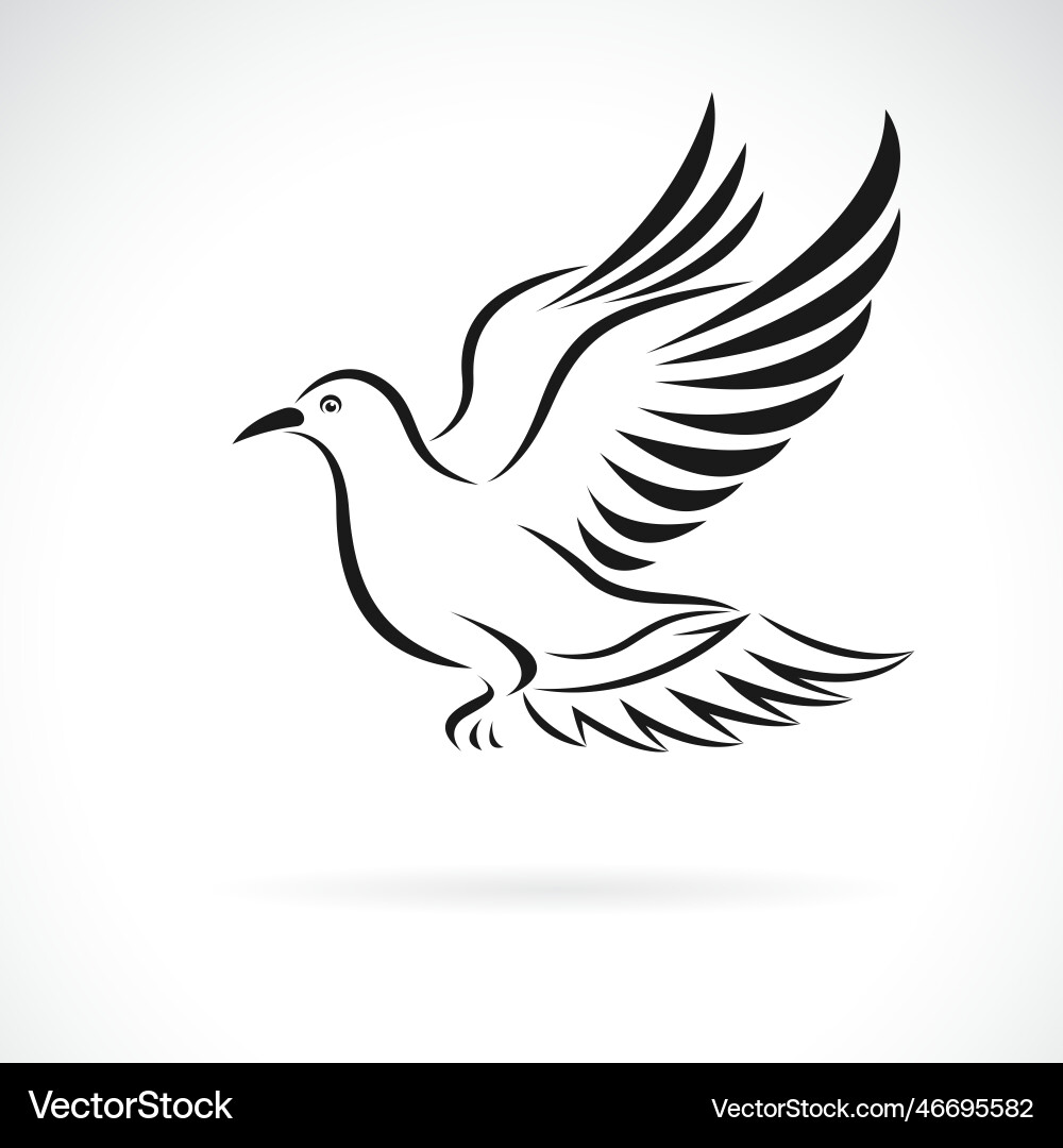 A pigeons are flying on white background easy Vector Image