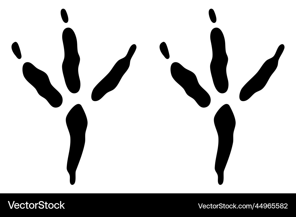 Crow bird footprint paw prints set Royalty Free Vector Image