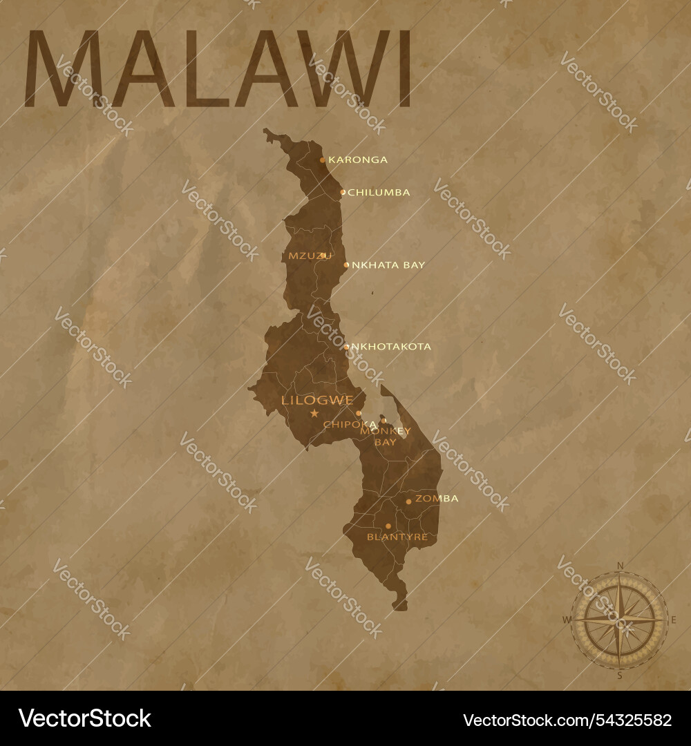 Vintage malawi map with regions borders and major Vector Image