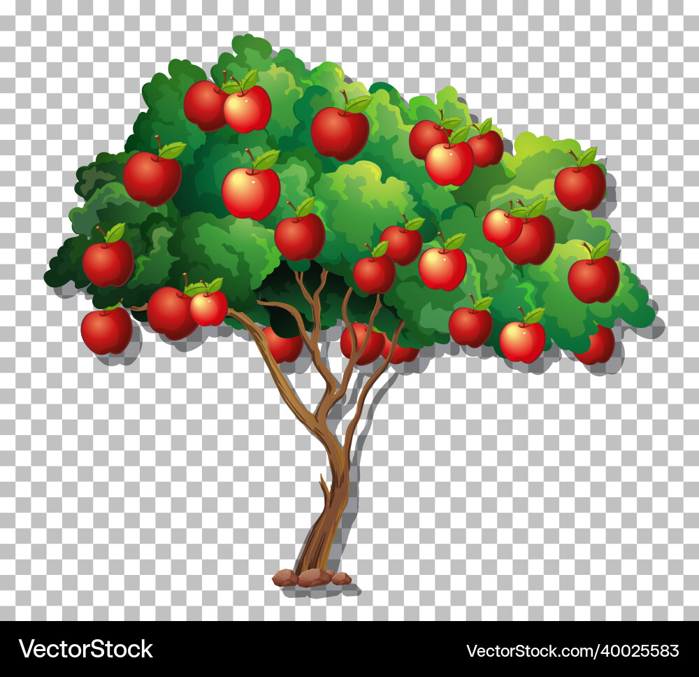 Apple tree on transparent background Royalty Free Vector