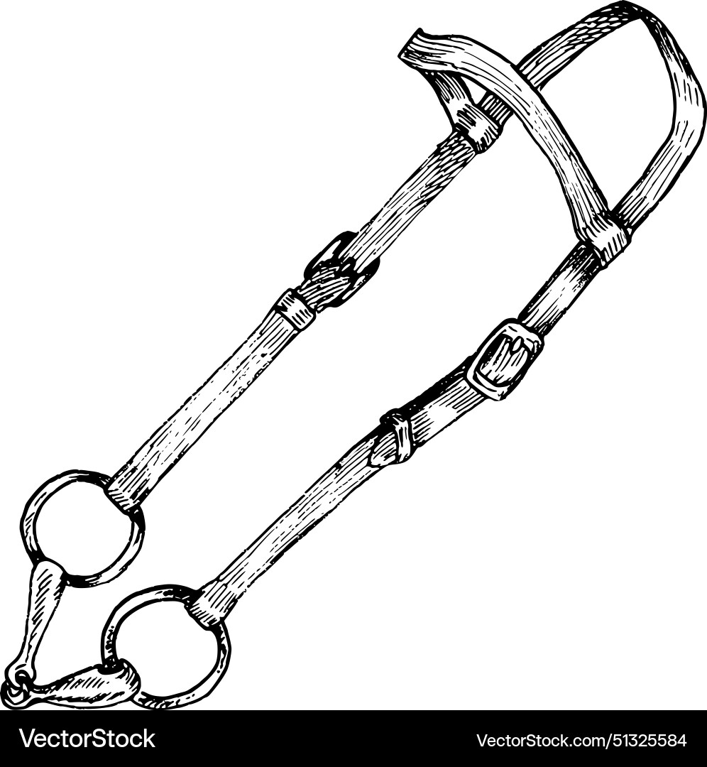 Graphic of brown bridle Royalty Free Vector Image