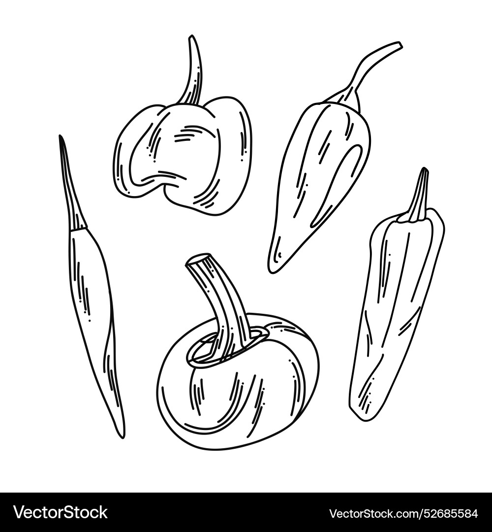 Set of small peppers different shapes in doodle Vector Image
