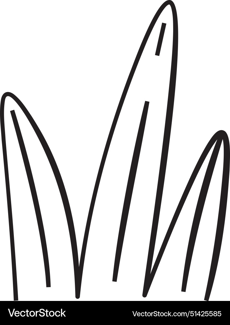 Bush plant doodle Royalty Free Vector Image - VectorStock