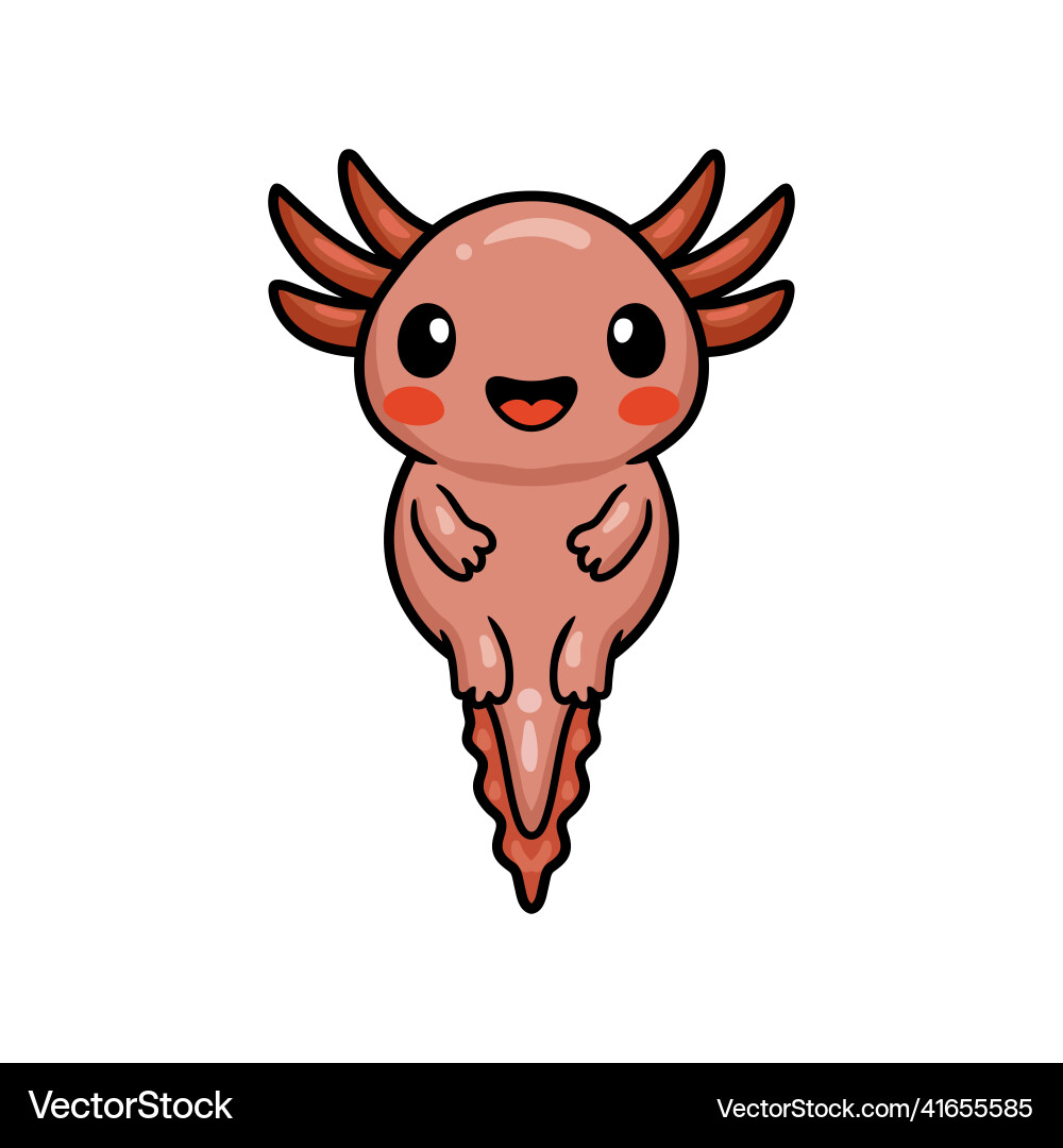 Cute axolotl cartoon Royalty Free Vector Image