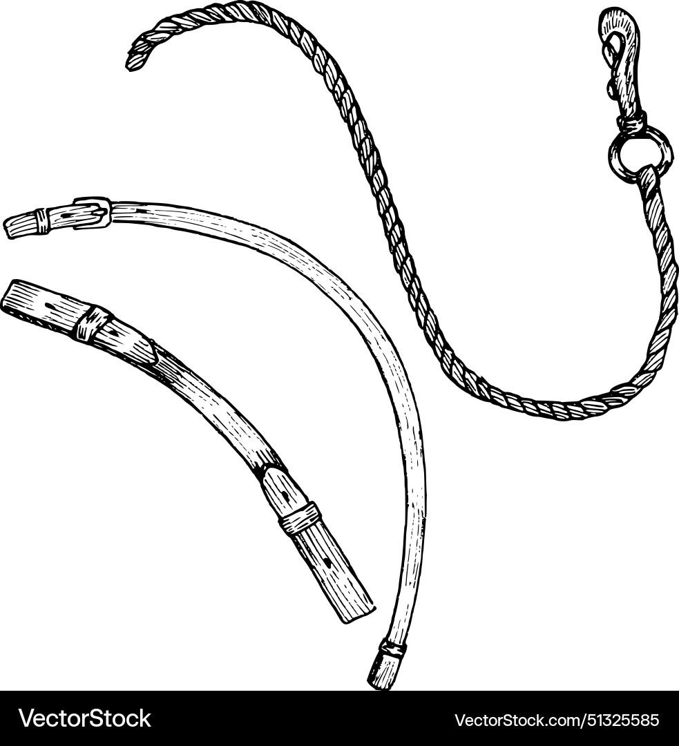 Graphic of cord or rope Royalty Free Vector Image