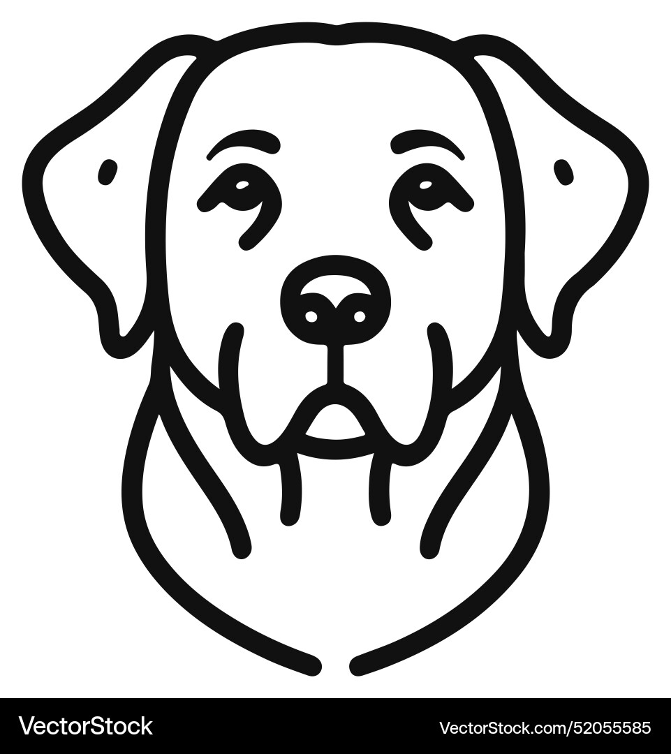 Labrador line art drawing Royalty Free Vector Image