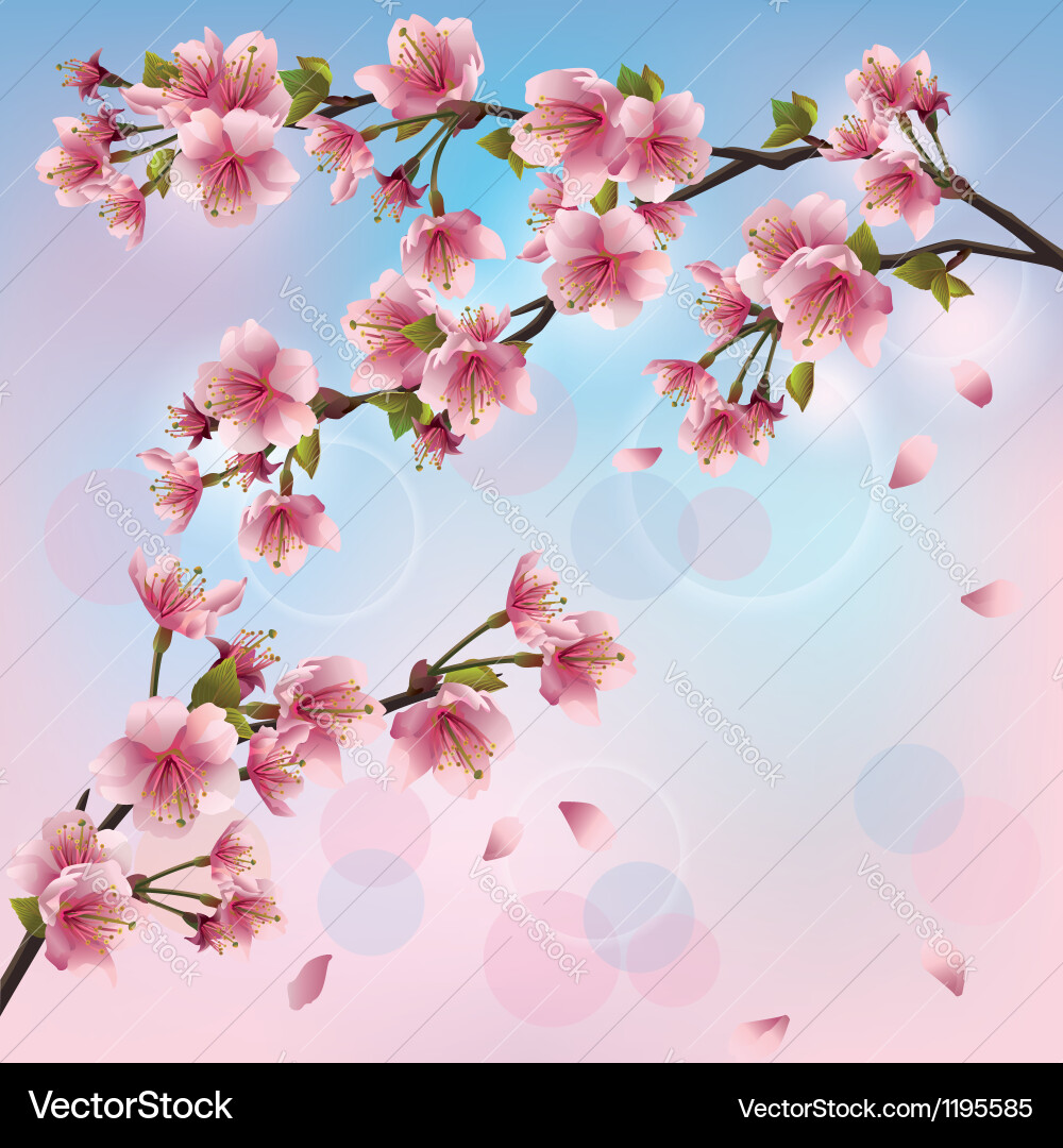 Light background with sakura blossom japanese Vector Image