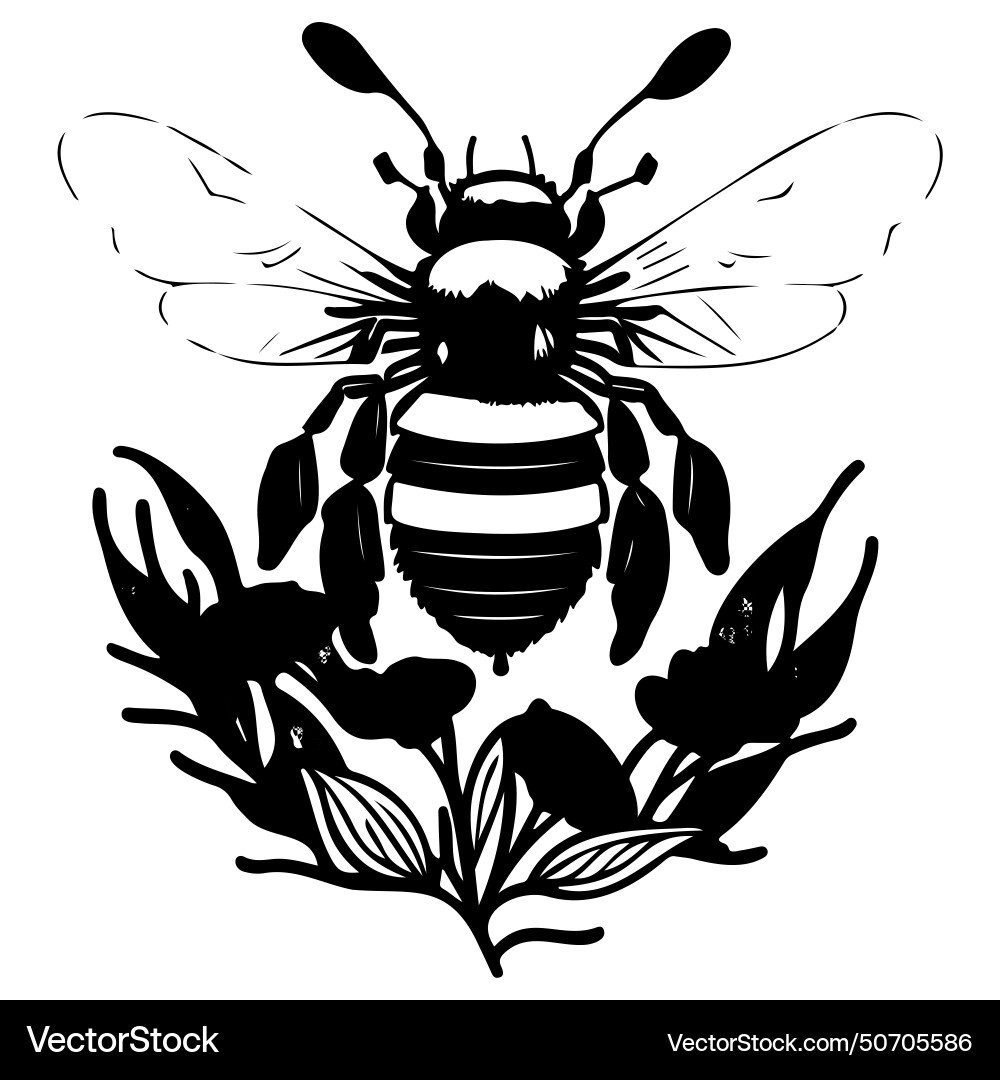 Bee on flower spring sketch hand draw Royalty Free Vector