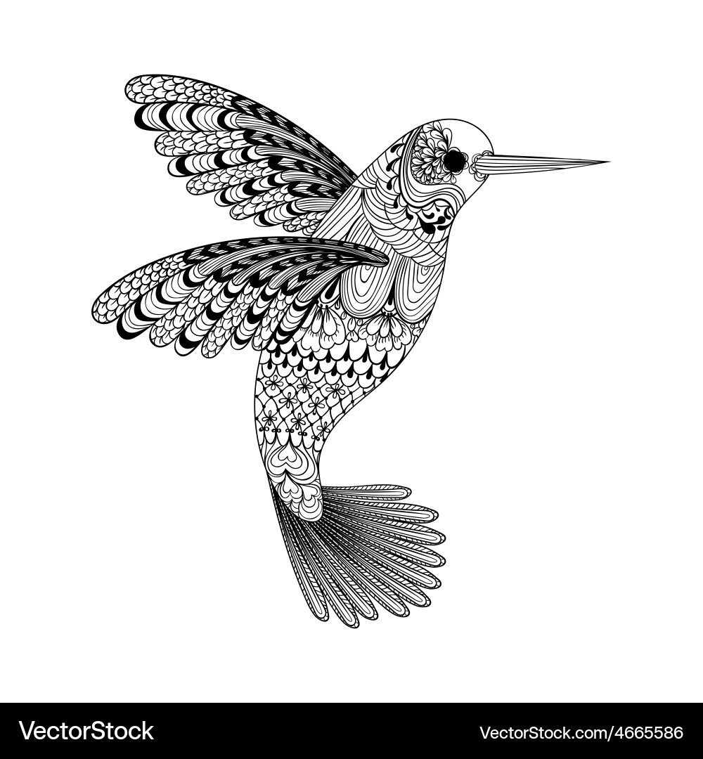 Zentangle Hummingbird Sketch Royalty Free Vector Image