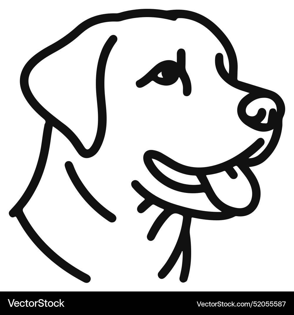 Labrador line art drawing Royalty Free Vector Image