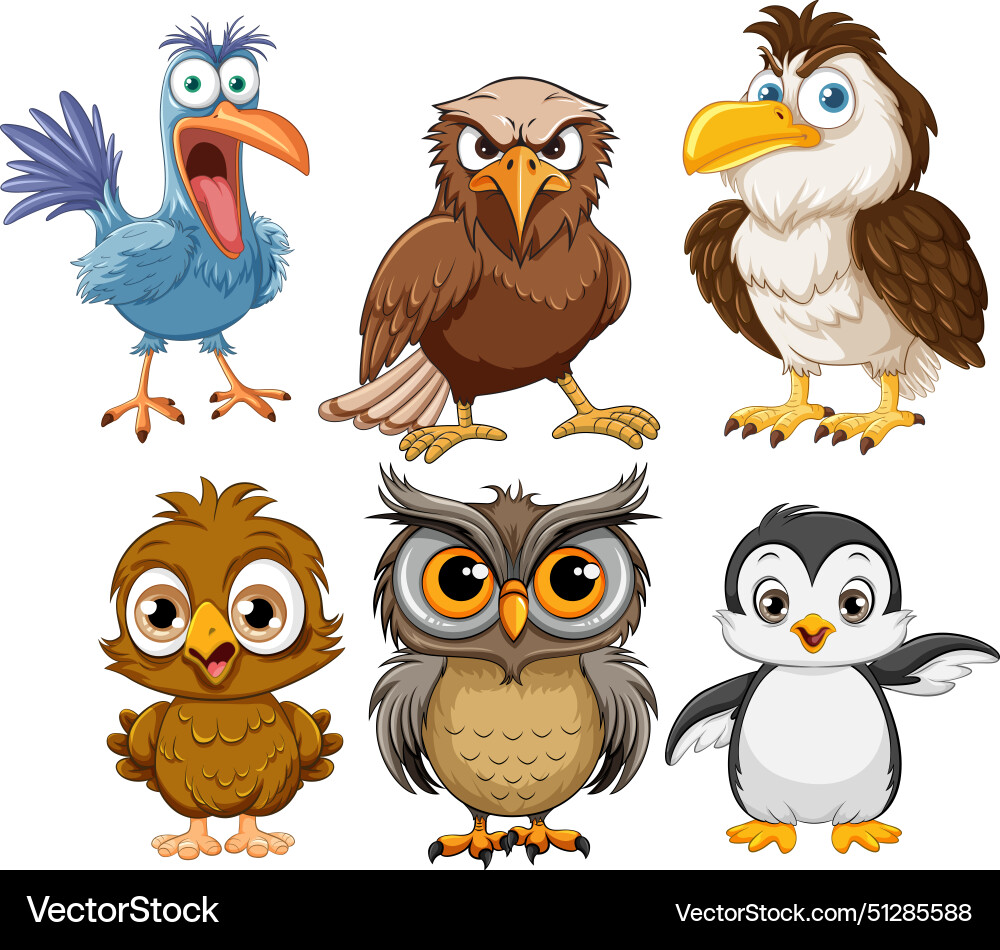 Five different cartoon birds showing various Vector Image