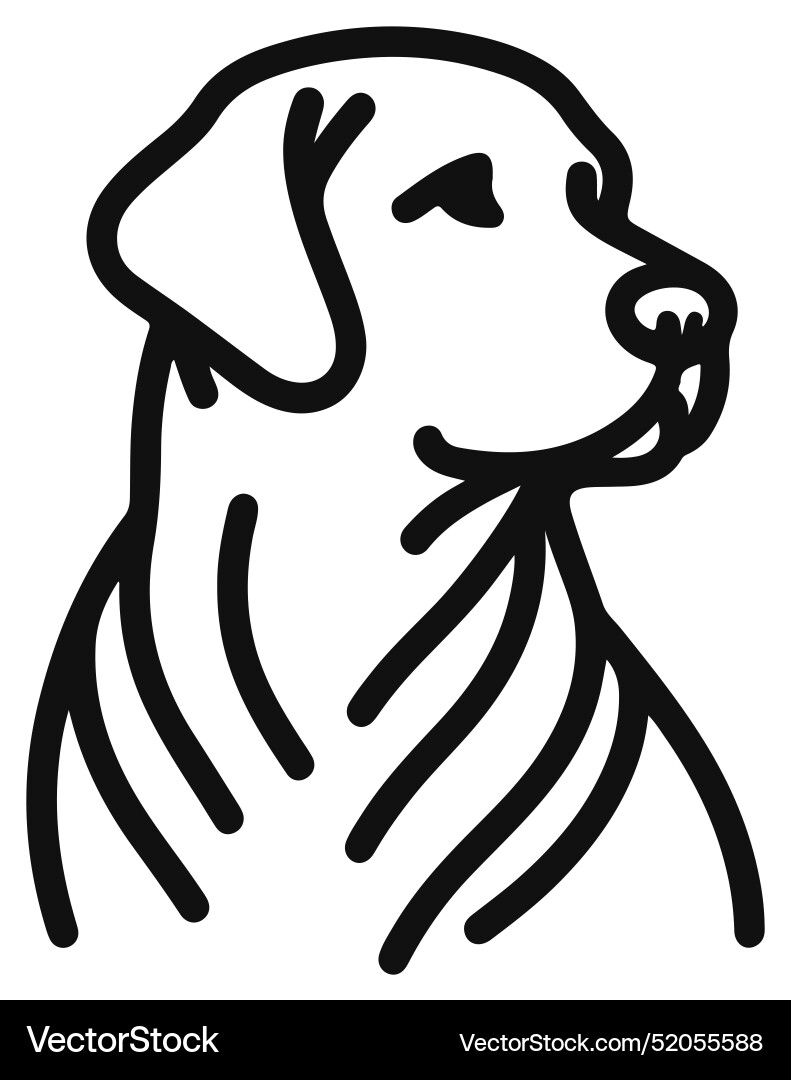 Labrador line art drawing Royalty Free Vector Image