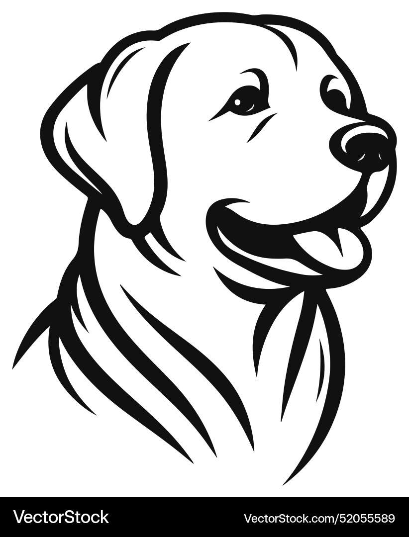 Labrador line art drawing Royalty Free Vector Image