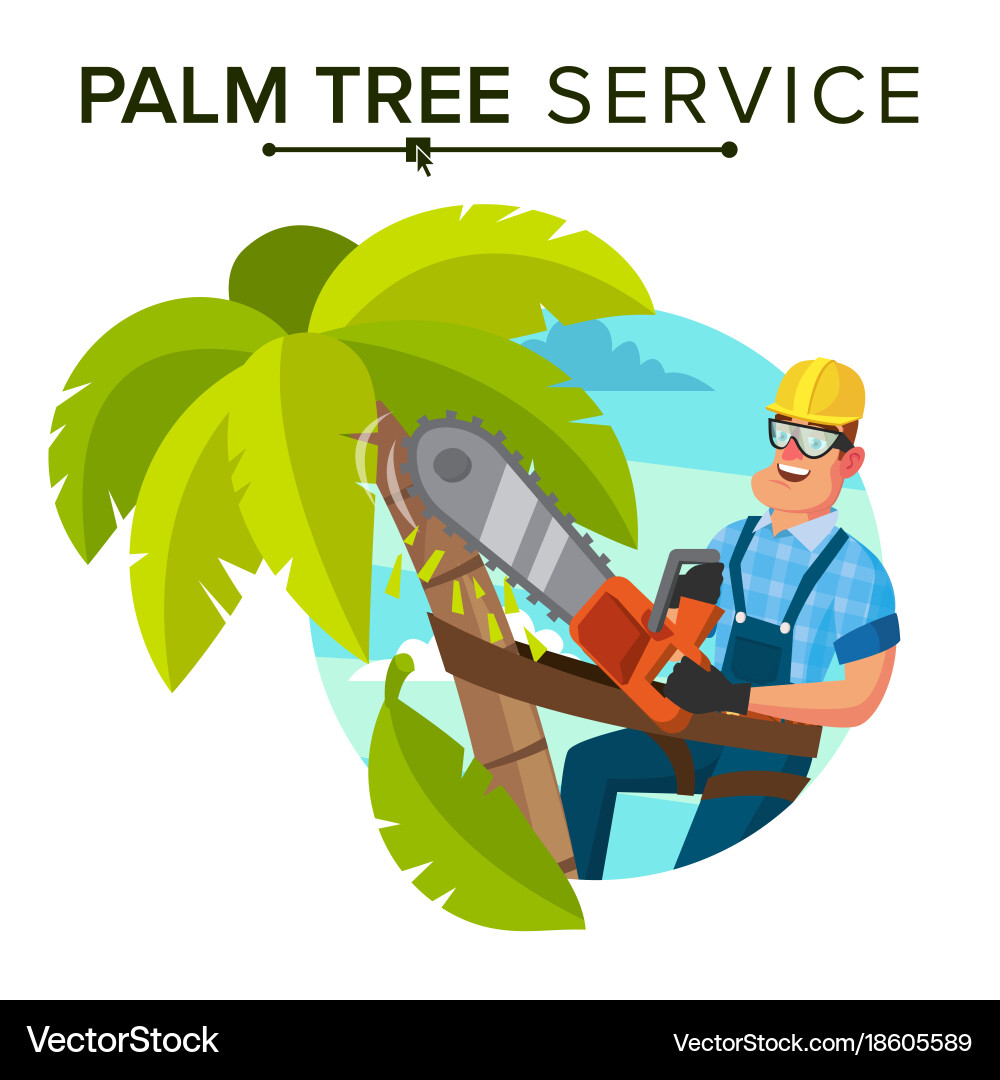 Palm tree removal trimming Royalty Free Vector Image