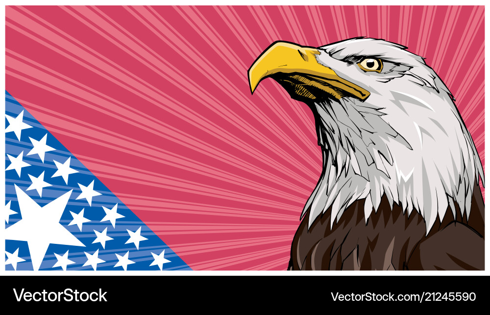Bald eagle background Royalty Free Vector Image