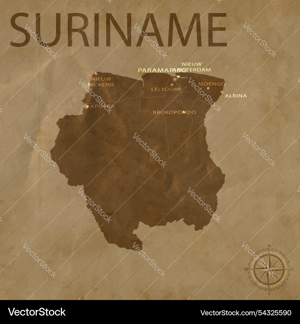 Vintage suriname map with regions borders Vector Image