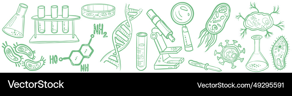 Biology science background sketch doodle Vector Image