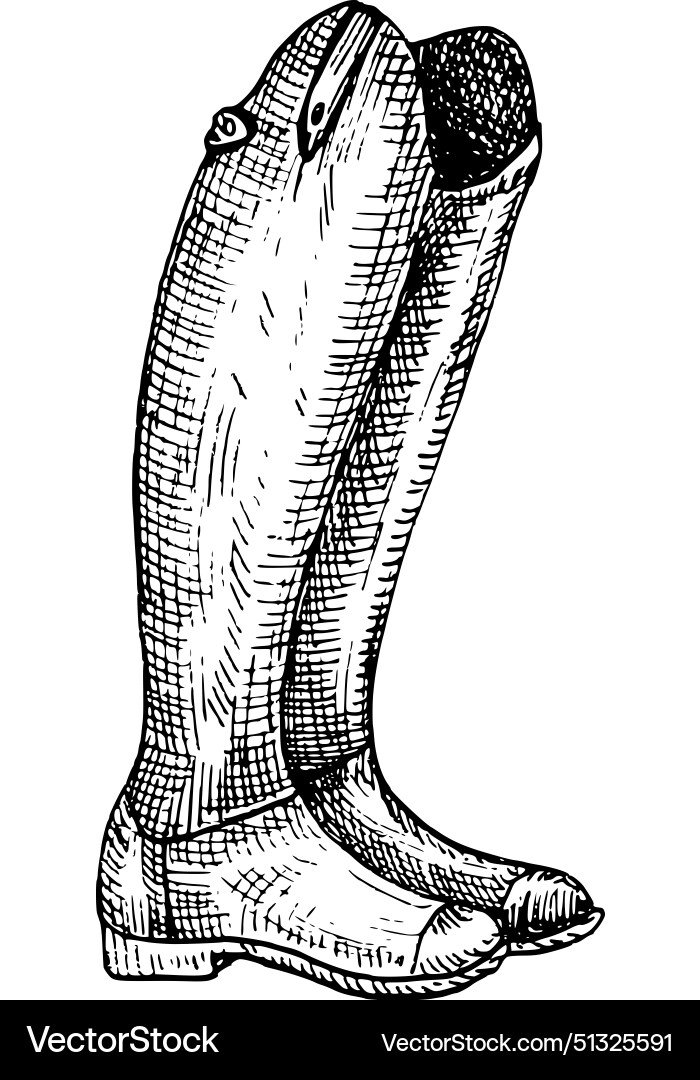 Boot graphic of a equestrian Royalty Free Vector Image