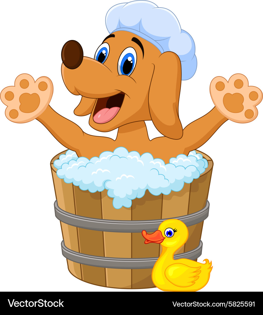 Cartoon dog bathing Royalty Free Vector Image - VectorStock