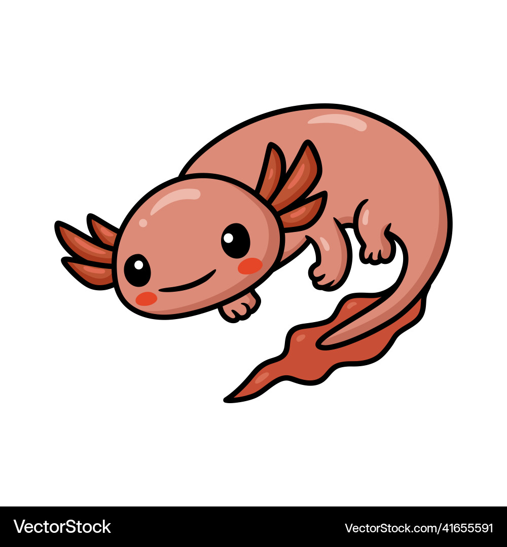 Cute axolotl cartoon Royalty Free Vector Image