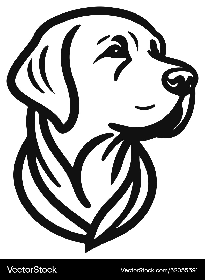 Labrador line art drawing Royalty Free Vector Image