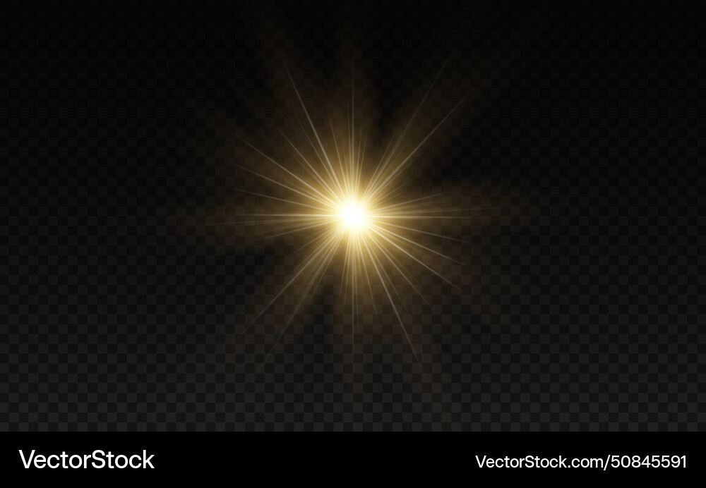 Shining golden star Royalty Free Vector Image - VectorStock