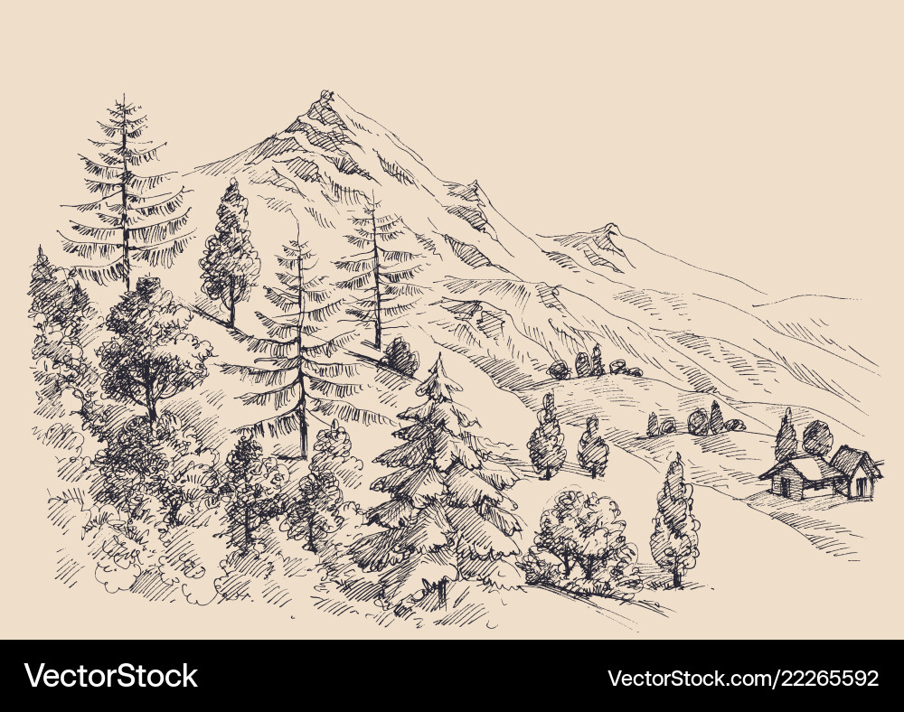 Mountain panorama alpine vegetation Royalty Free Vector