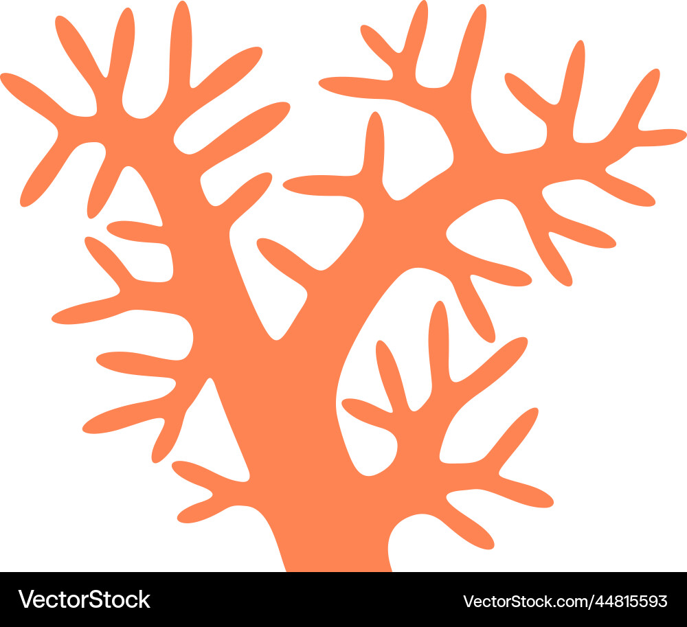 Coral Royalty Free Vector Image - VectorStock