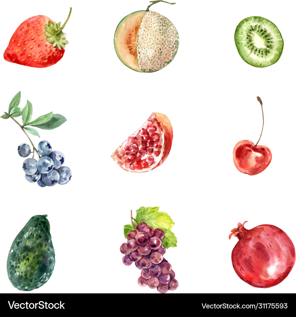 Set various isolated fruits on white background Vector Image