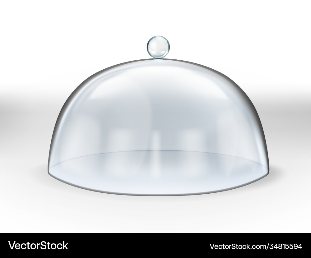 3d spherical laboratory or exhibition glass dome Vector Image