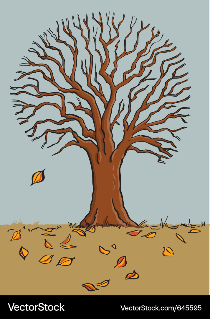 Fall tree Royalty Free Vector Image - VectorStock