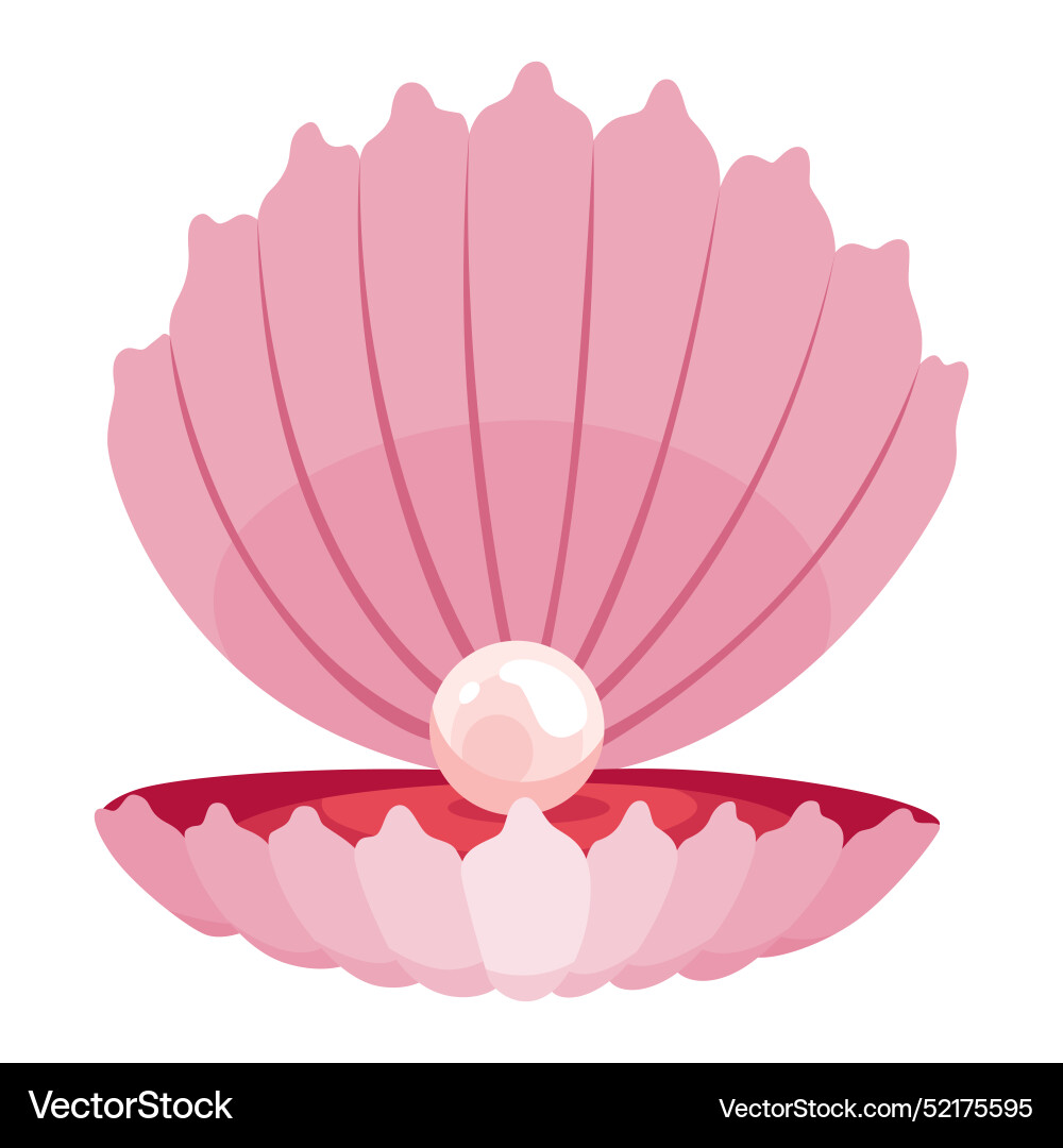 Pearl in seashell open scallop Royalty Free Vector Image