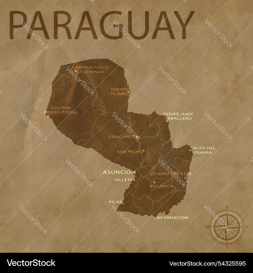 Vintage paraguay map with regions borders Vector Image